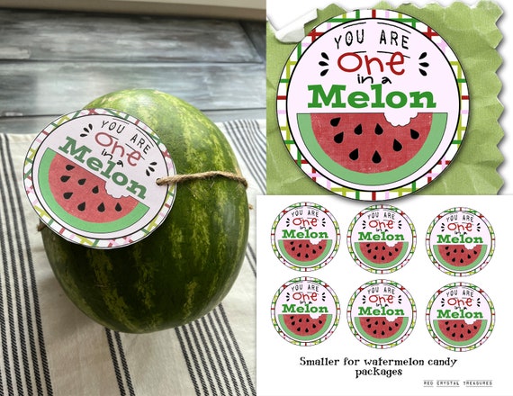 You Are One in a Melon Thank You or Frienship Gift Tag. - Etsy