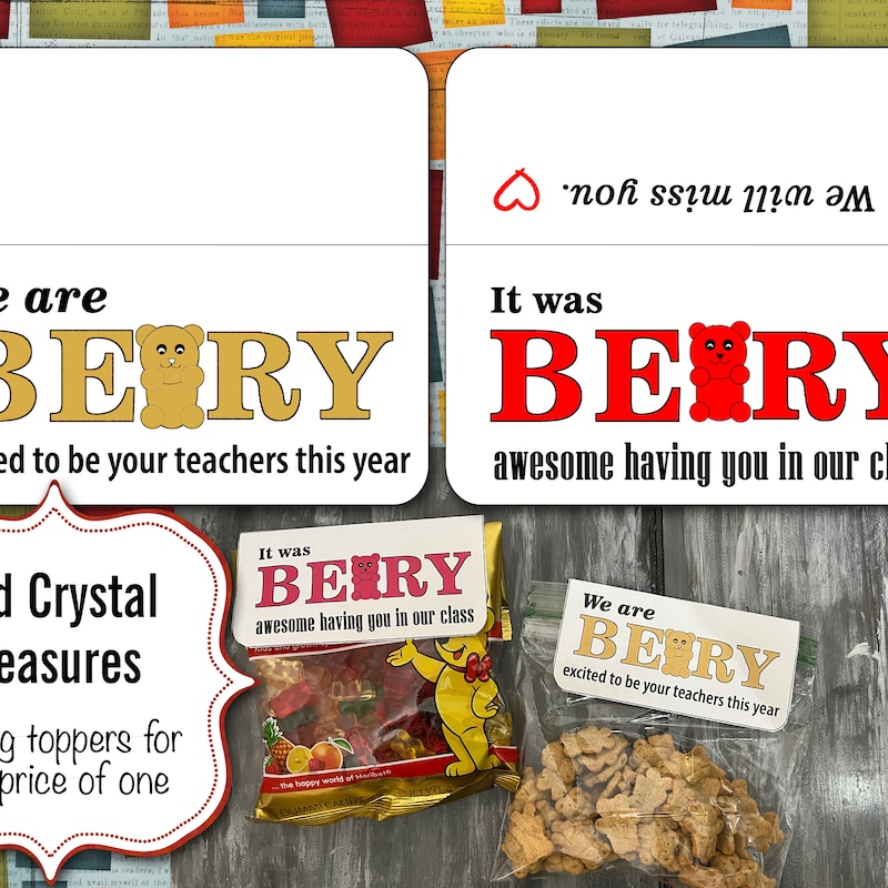 Primary Class Bags - Etsy