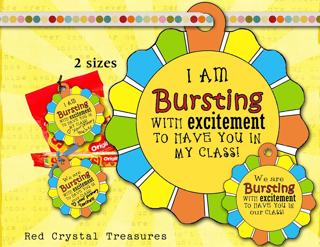 We Are, I Am Bursting With Excitement to Have You in My Class, Star ...