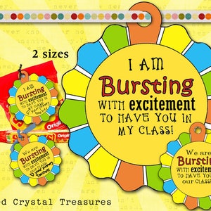 We Are, I Am Bursting With Excitement to Have You in My Class, Star ...