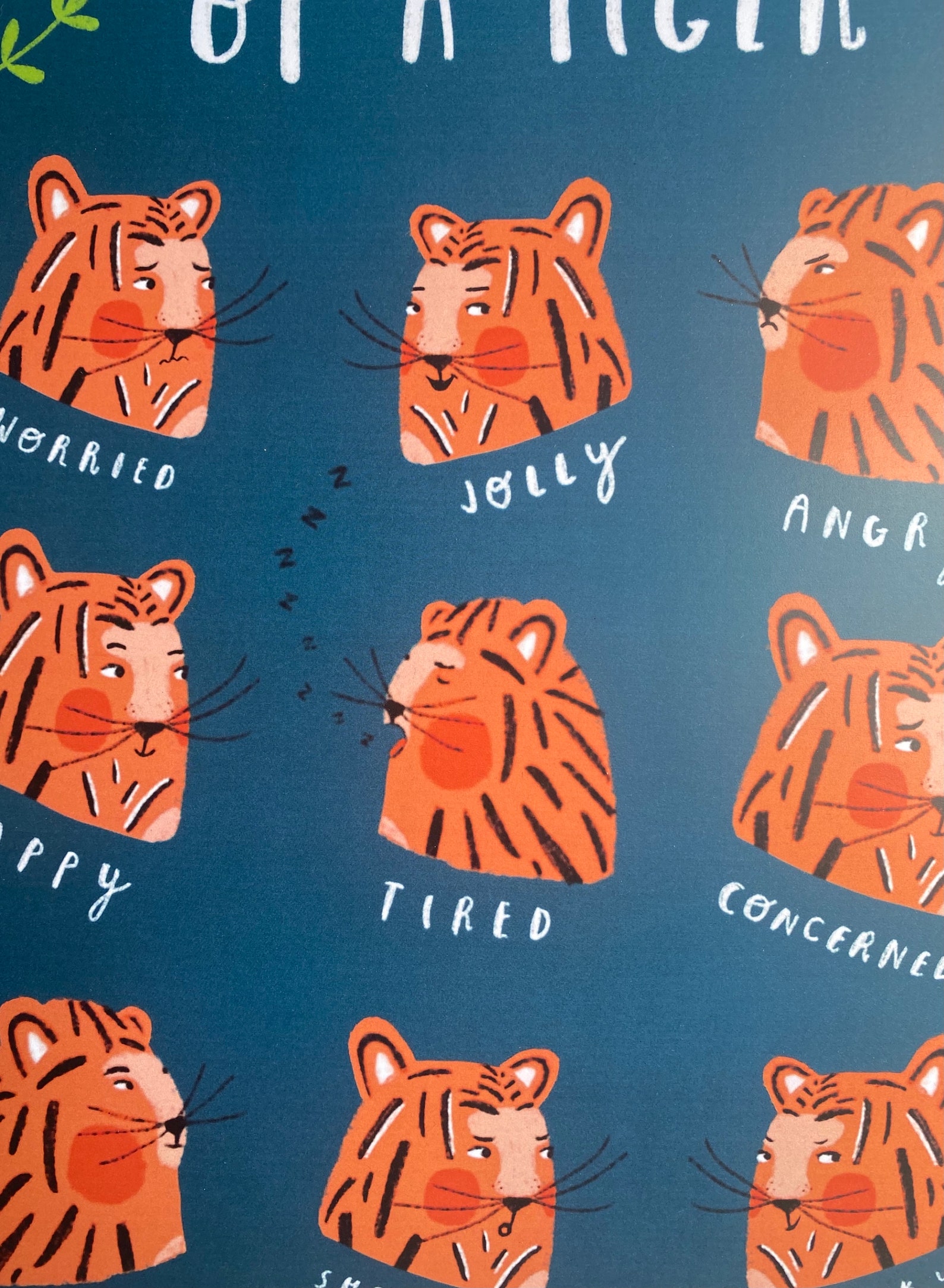 The Many Expressions of A Tiger Tiger Expressions Wall Art - Etsy UK
