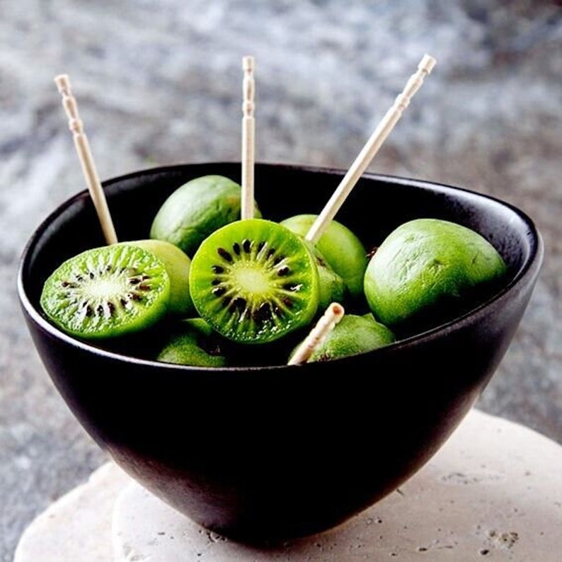 50 Issai Kiwi Berry Seeds Arctic Grape Fruit Tropical Garden - Etsy