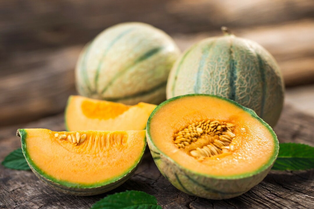 50+ Seeds Minnesota Midget Melon - MINI RARE Dwarf Heirloom Fruit - Etsy