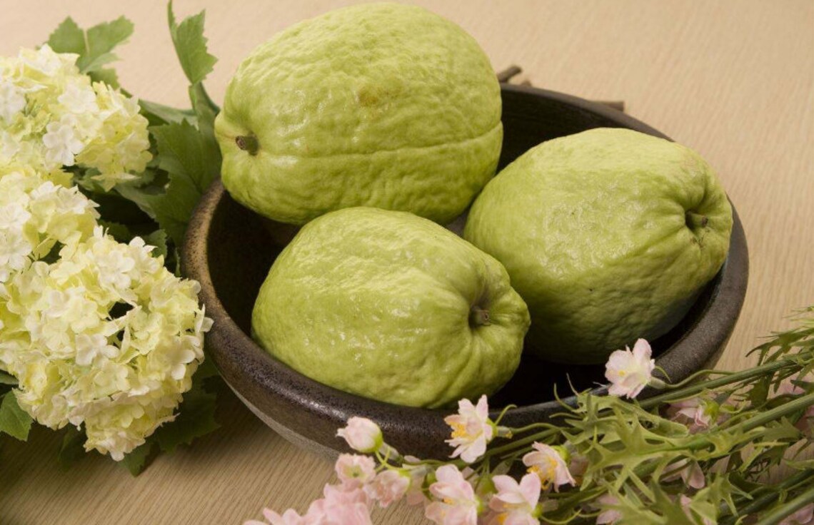 20pcs Seeds Lemon Guava Fruit Tree Seeds Psidium Guajava - Etsy