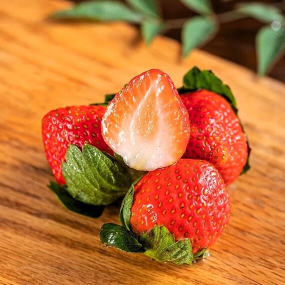 Purple Wonder Strawberries