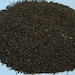 200+ Culantro Seeds Mexican Coriander De Alcapate Cilantro Ancho ...