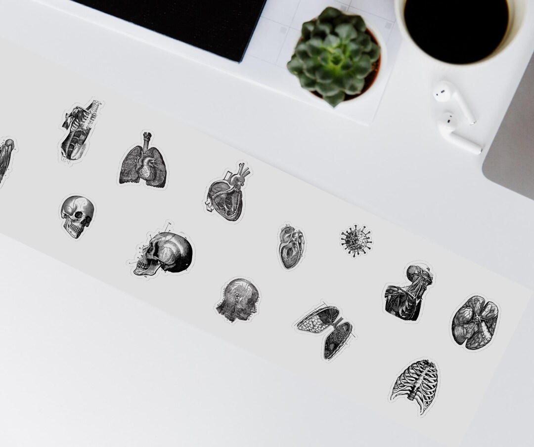 Vintage Anatomy Sticker Sheet Spooky Halloween Medical Organs, Gothic ...