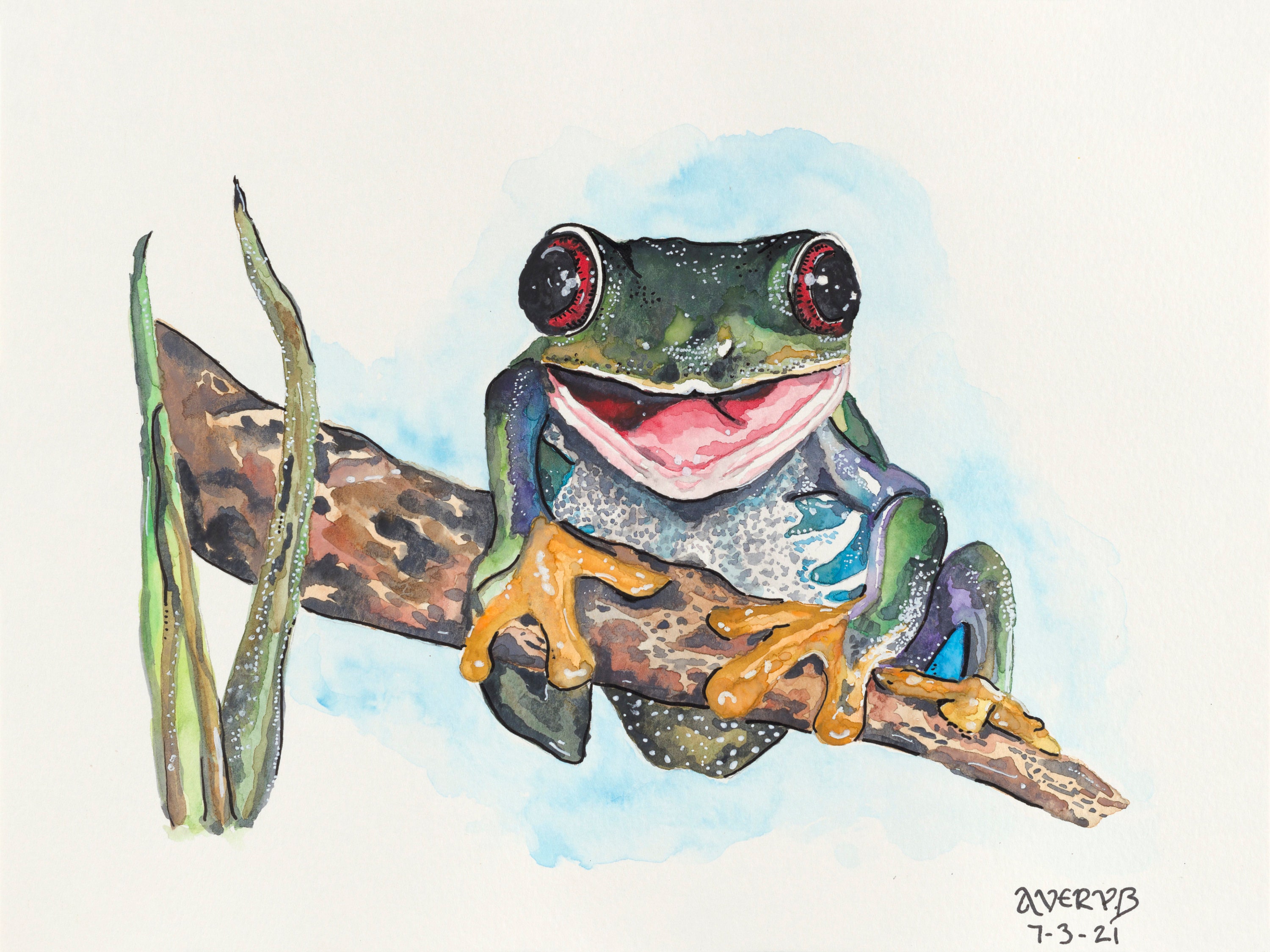 Happy Tree Frog - Etsy