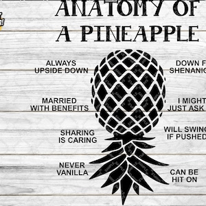 Upside Down Swinger Pineapple Anatomy of a Pineapple Digital File CNC ...