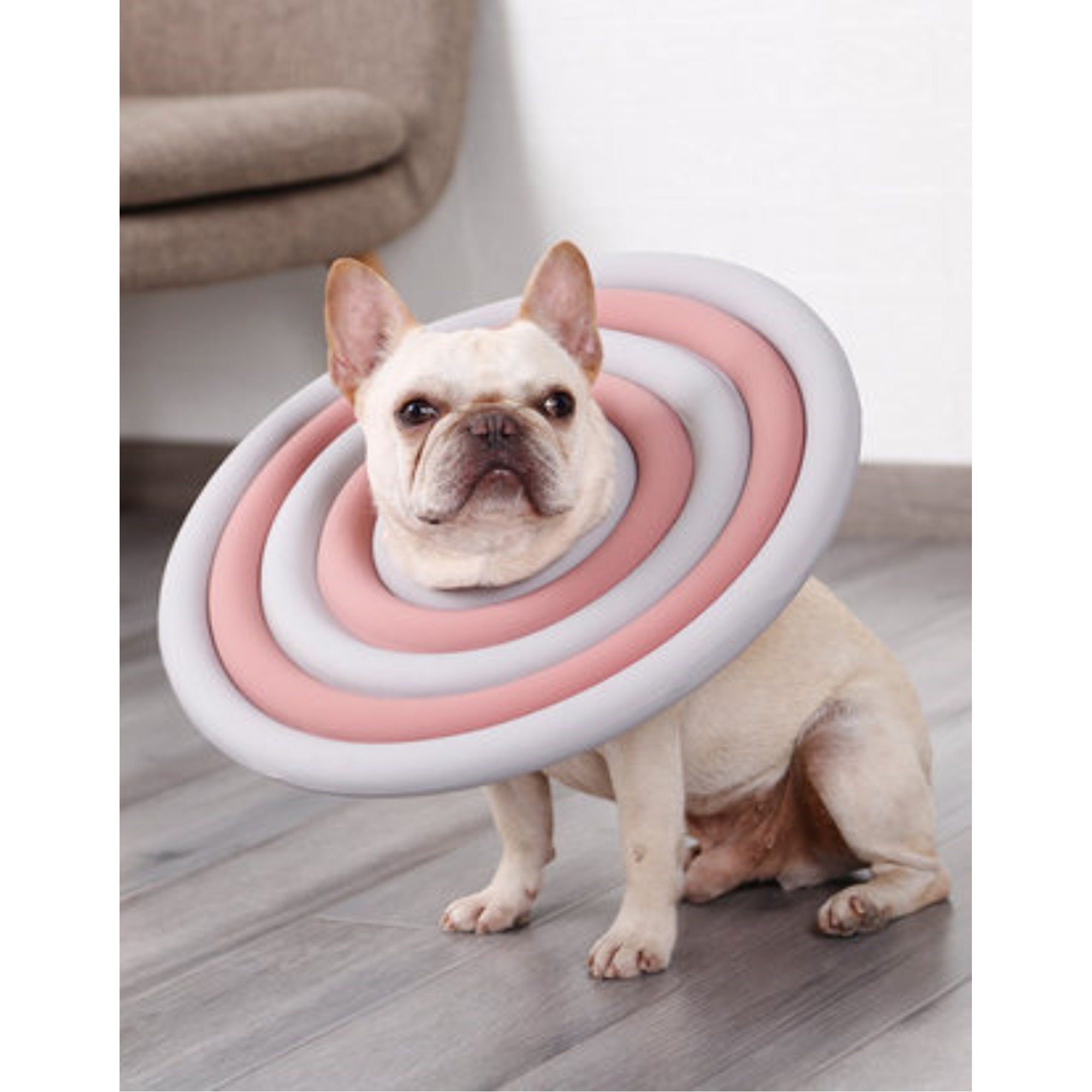 Dog Recovery Collar - Etsy