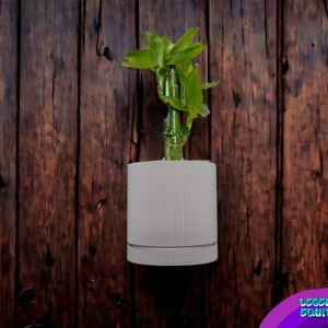 Floating Wall Planter With Drip Tray - Fin / Lines Texture Design - Etsy