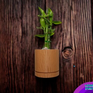 Floating Wall Planter With Drip Tray - Wood Texture Design, Natural - Etsy