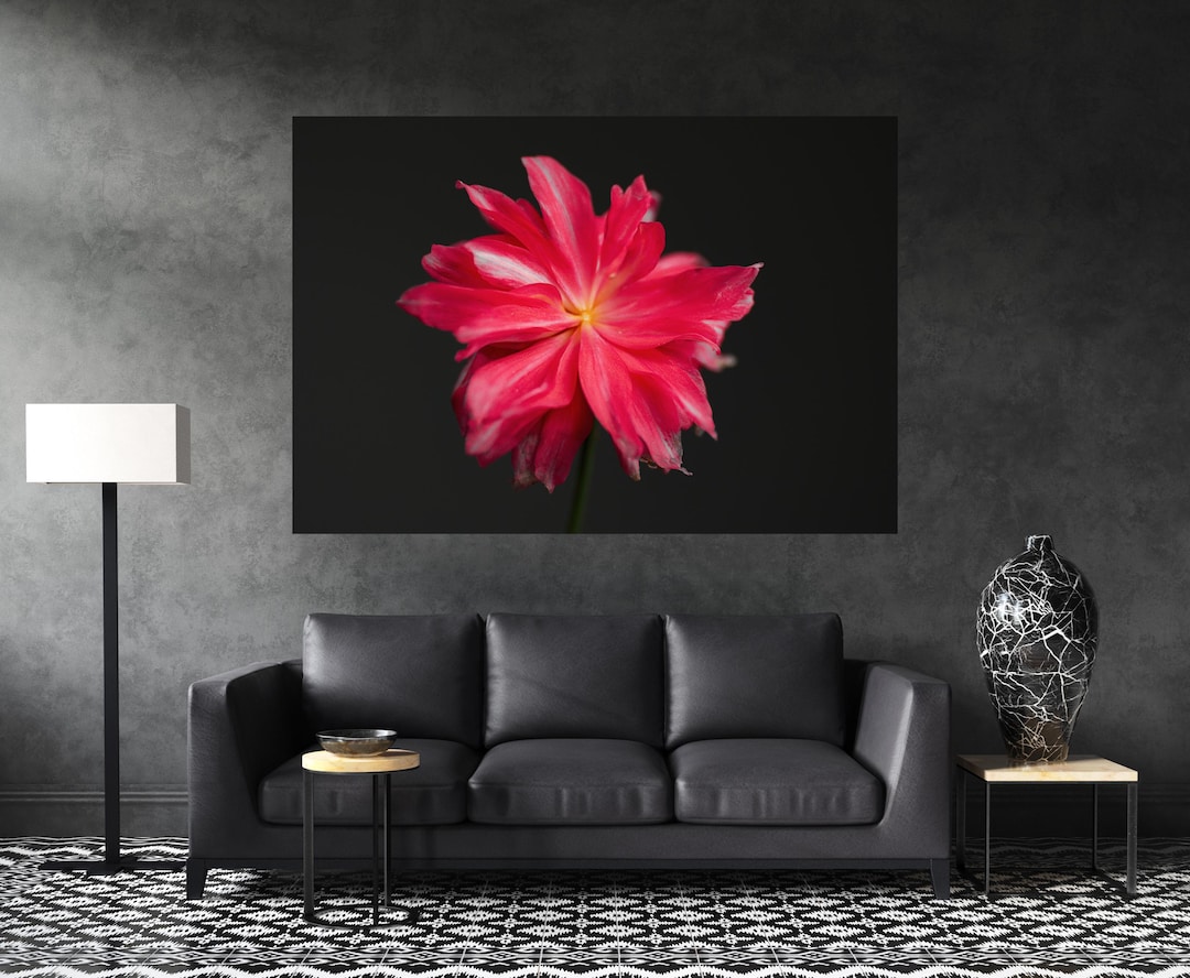 Pink Flower Print, Flower Photography Prints, Flower Canvas Print ...