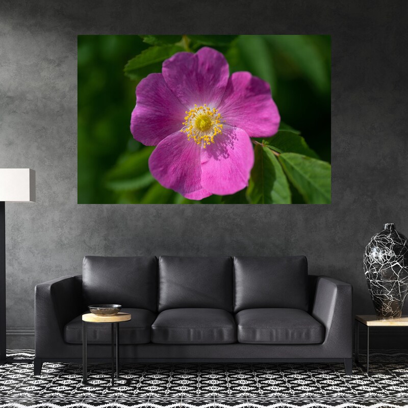 Flower Prints - Etsy