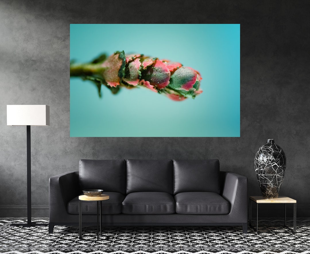 Flower Print, Flower Photography Prints, Flower Canvas Print, Flower ...