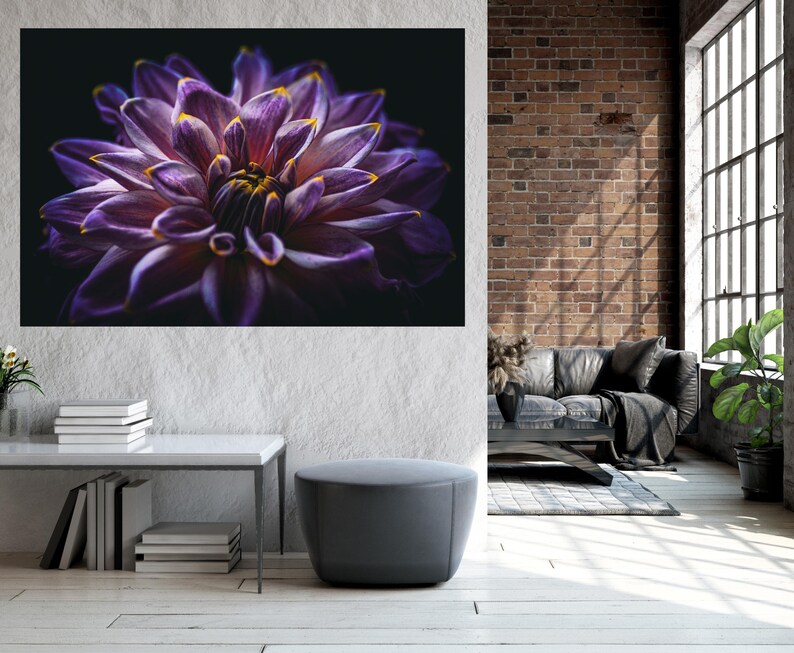 Dahlia Print, Dahlia Wall Art, Flower Photography Prints, Flower Canvas ...