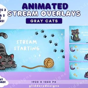 Twitch Overlay Cat | Animated Cat Twitch Overlay | Gray Cat Overlay ...