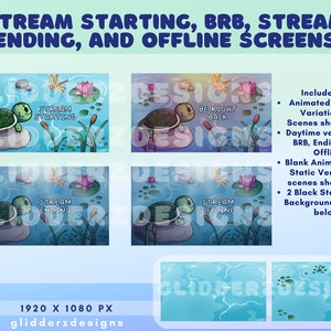 Turtle in Pond Animated Overlay | Turtle Twitch Overlay | Pond Twitch ...