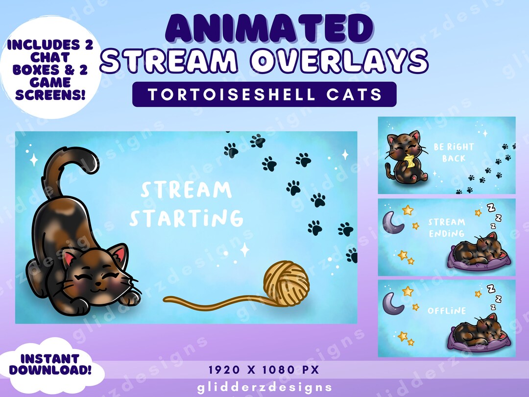 Cat Animated Twitch Overlay Tortoiseshell Cat Stream Overlays Blue Cat ...