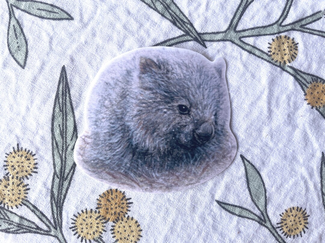 Australian Animal Stickers, Common Wombat Sticker, Wildlife, Gloss ...