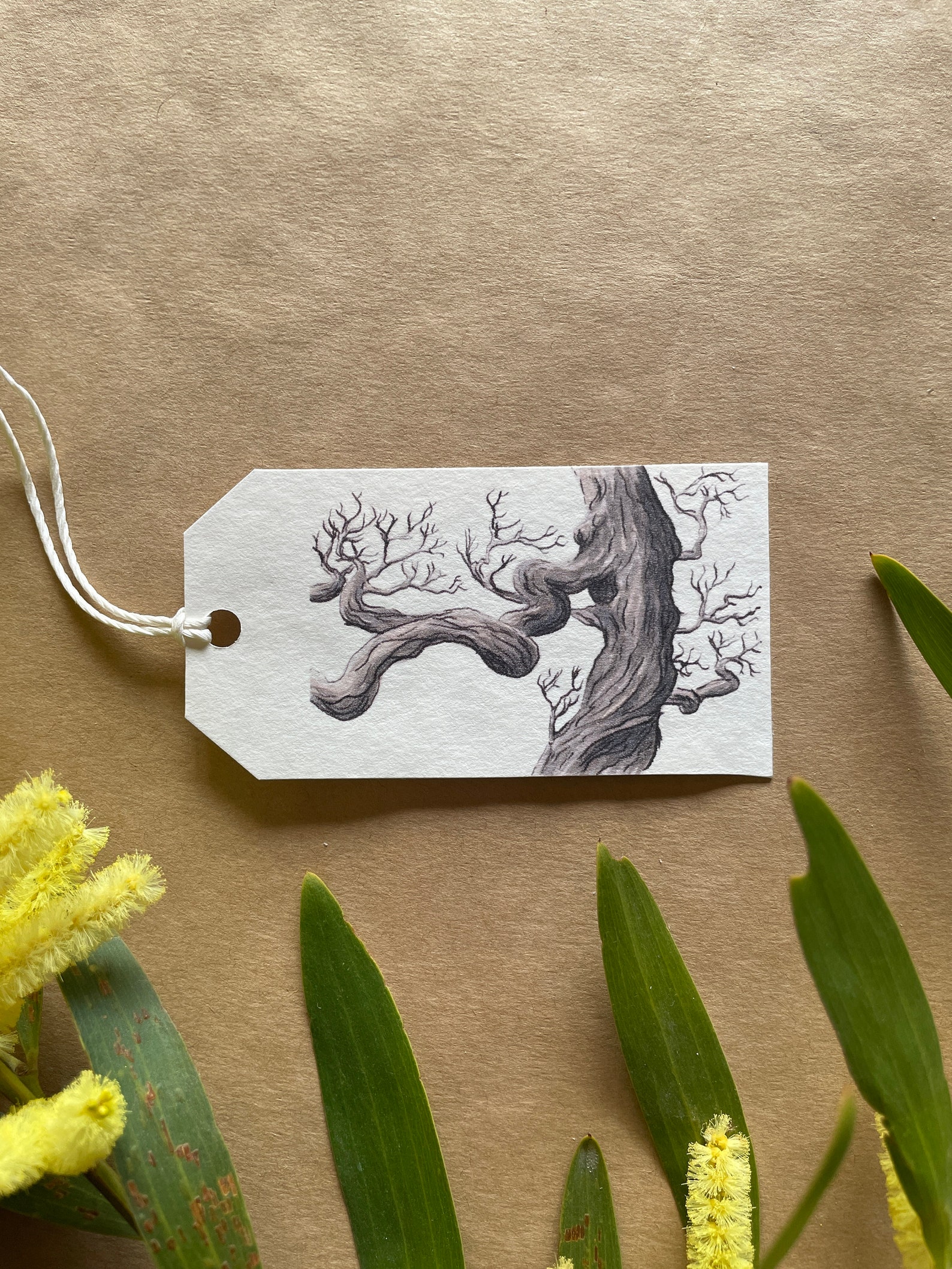Heritage Tree, Rustic, Forest Aesthetic, Nature, Labels, Gift Tags ...