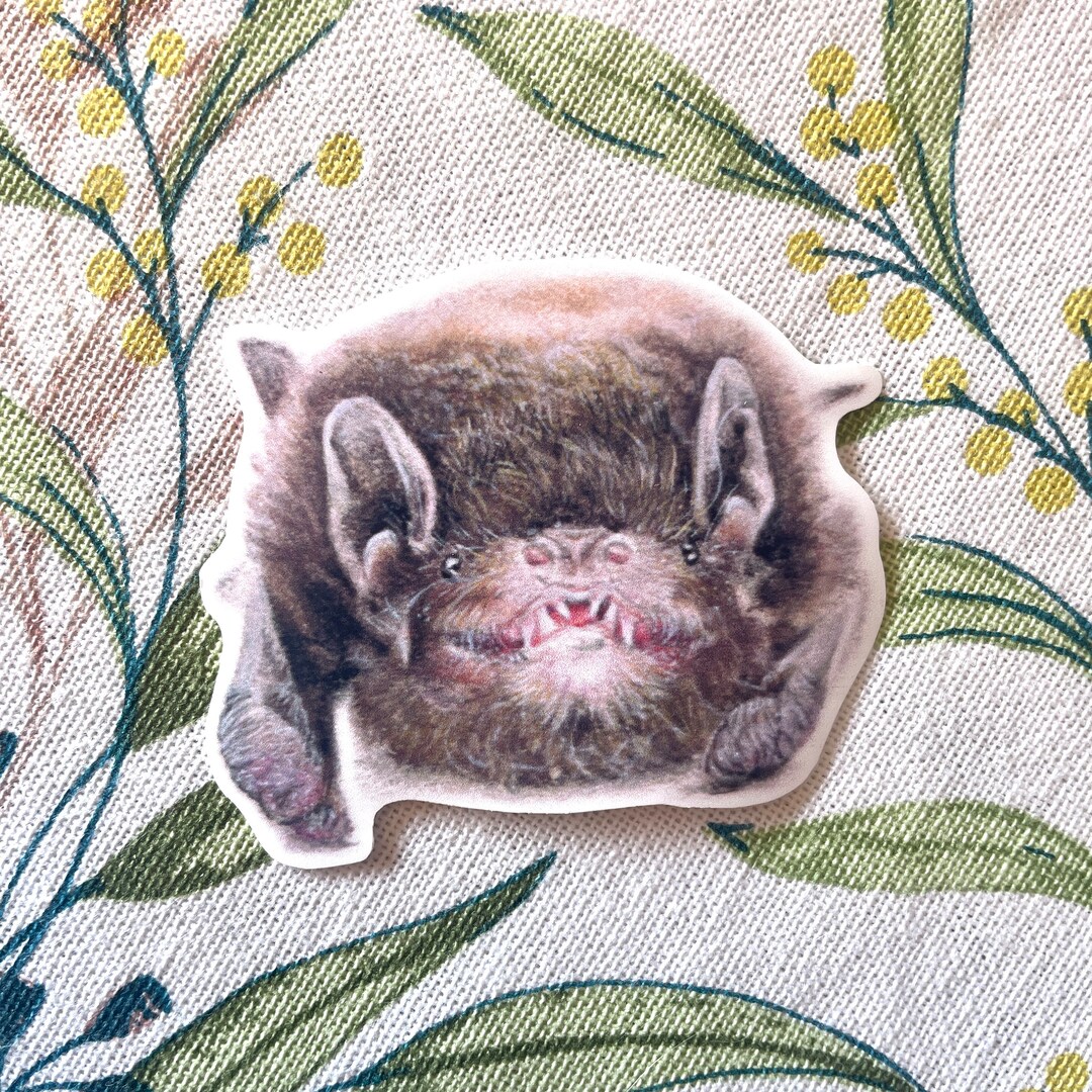 Australian Animal Stickers, Microbat, Juvenile Gould's Wattled Bat ...