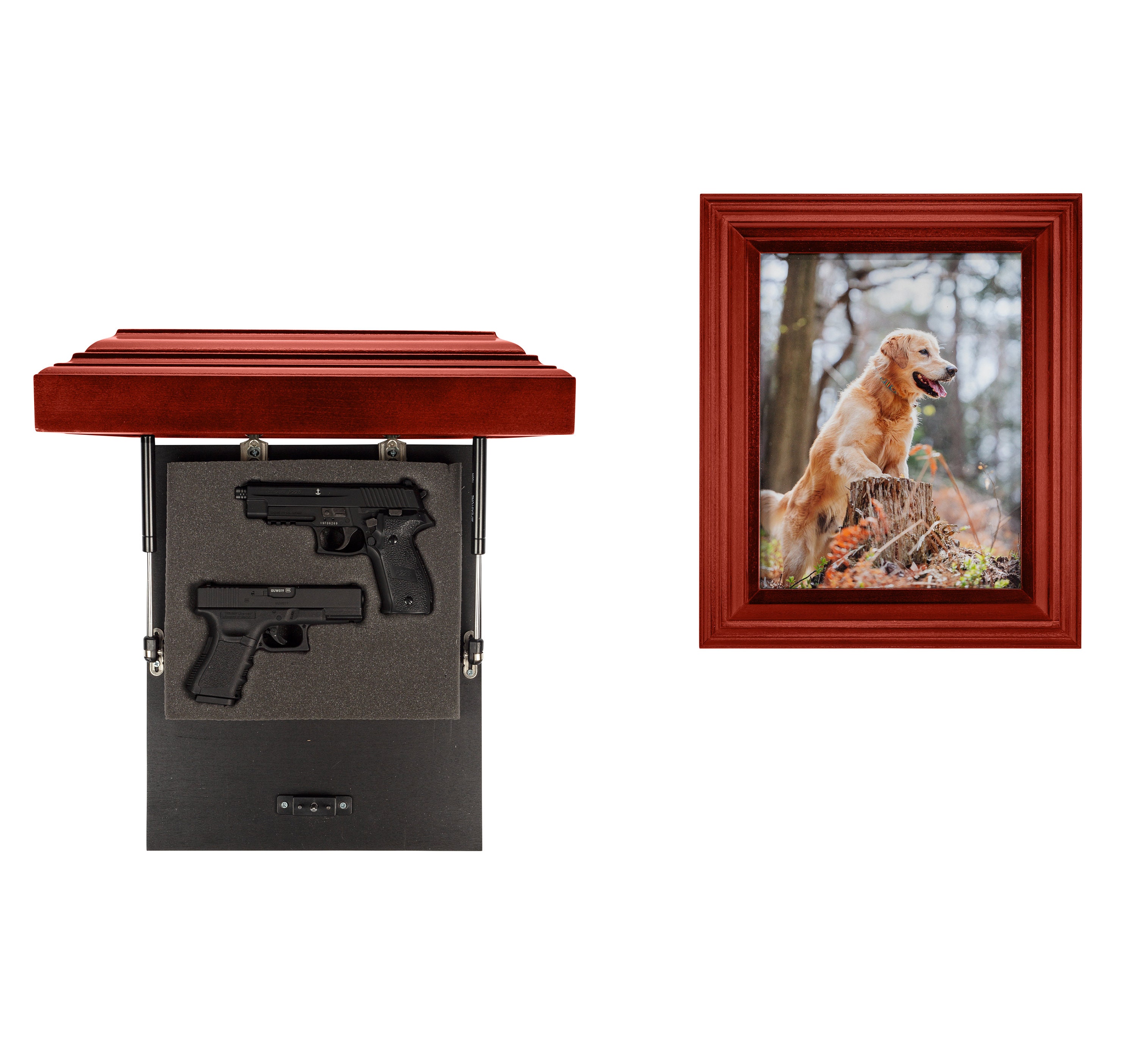 Guardian 15s Picture Frame Hidden Gun Storage Safe With Trap Door ...