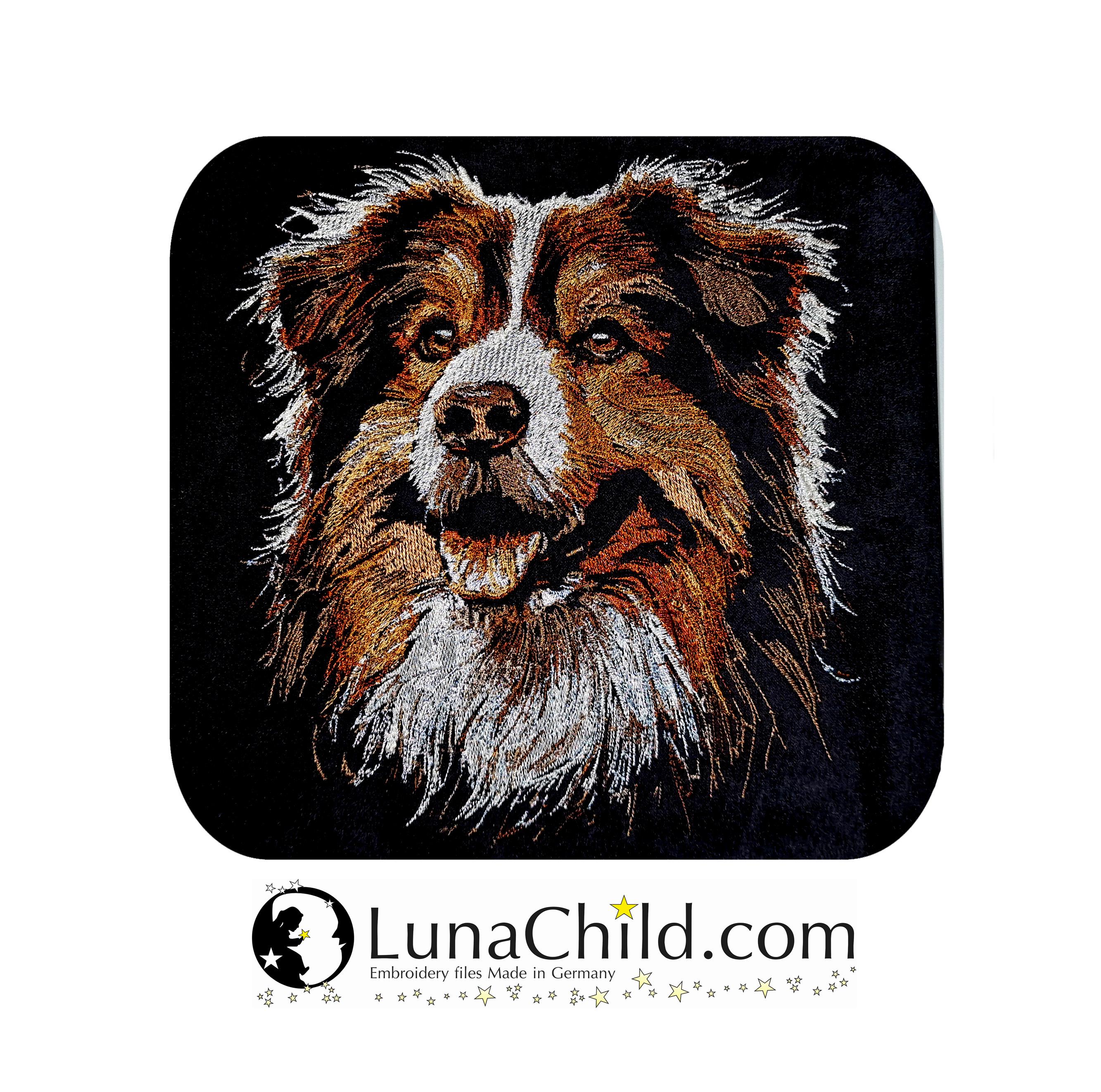 NEU AUFWENDIGE Stickdatei Border Collie braun Quasto Hund in ...