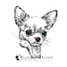 Standard Schnauzer - Wire-haired Pinscher, Adorable Animal Craft, Cute ...