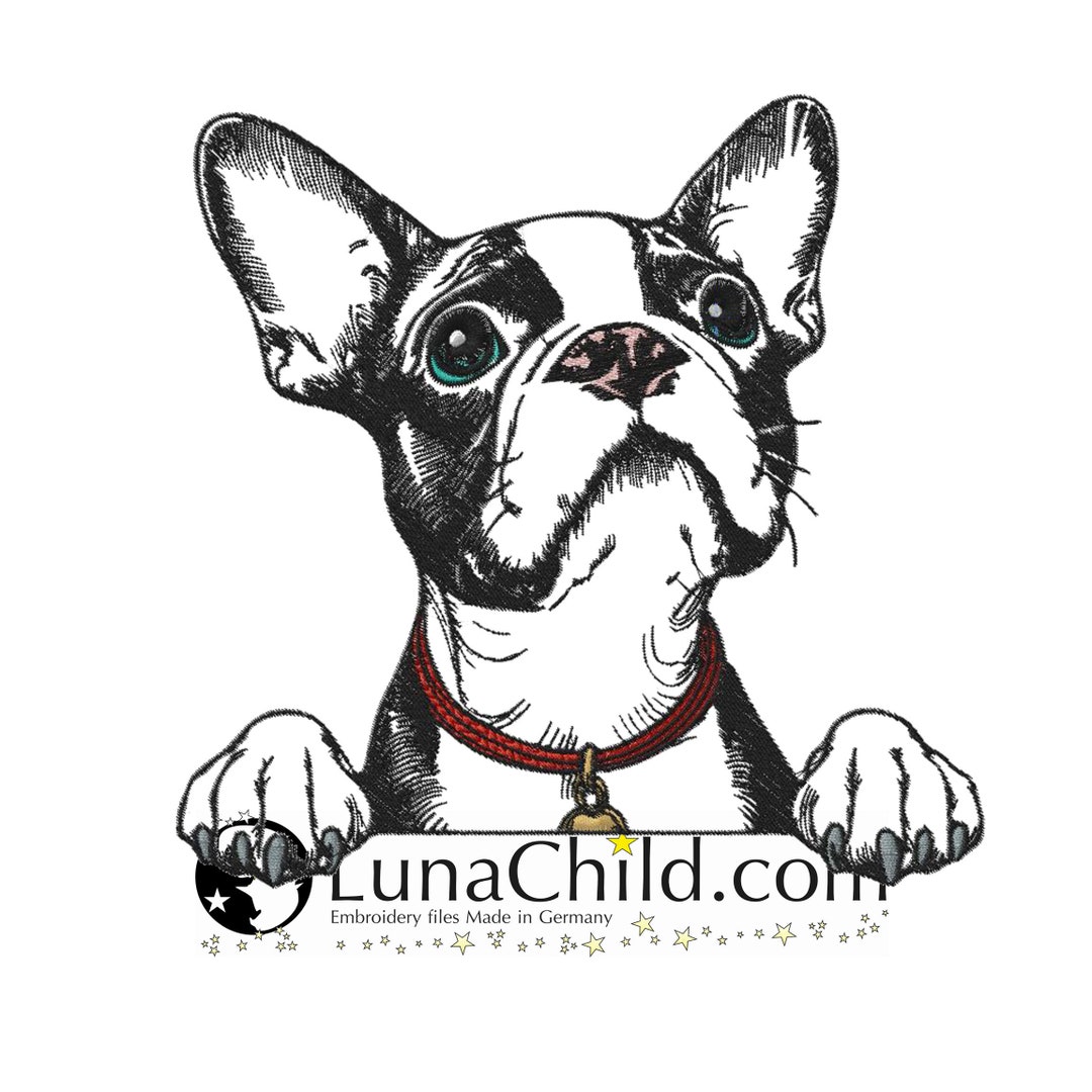 NEU Stickdatei Boston Terrier "kylo" Hund Realistisch Kommerzielle ...