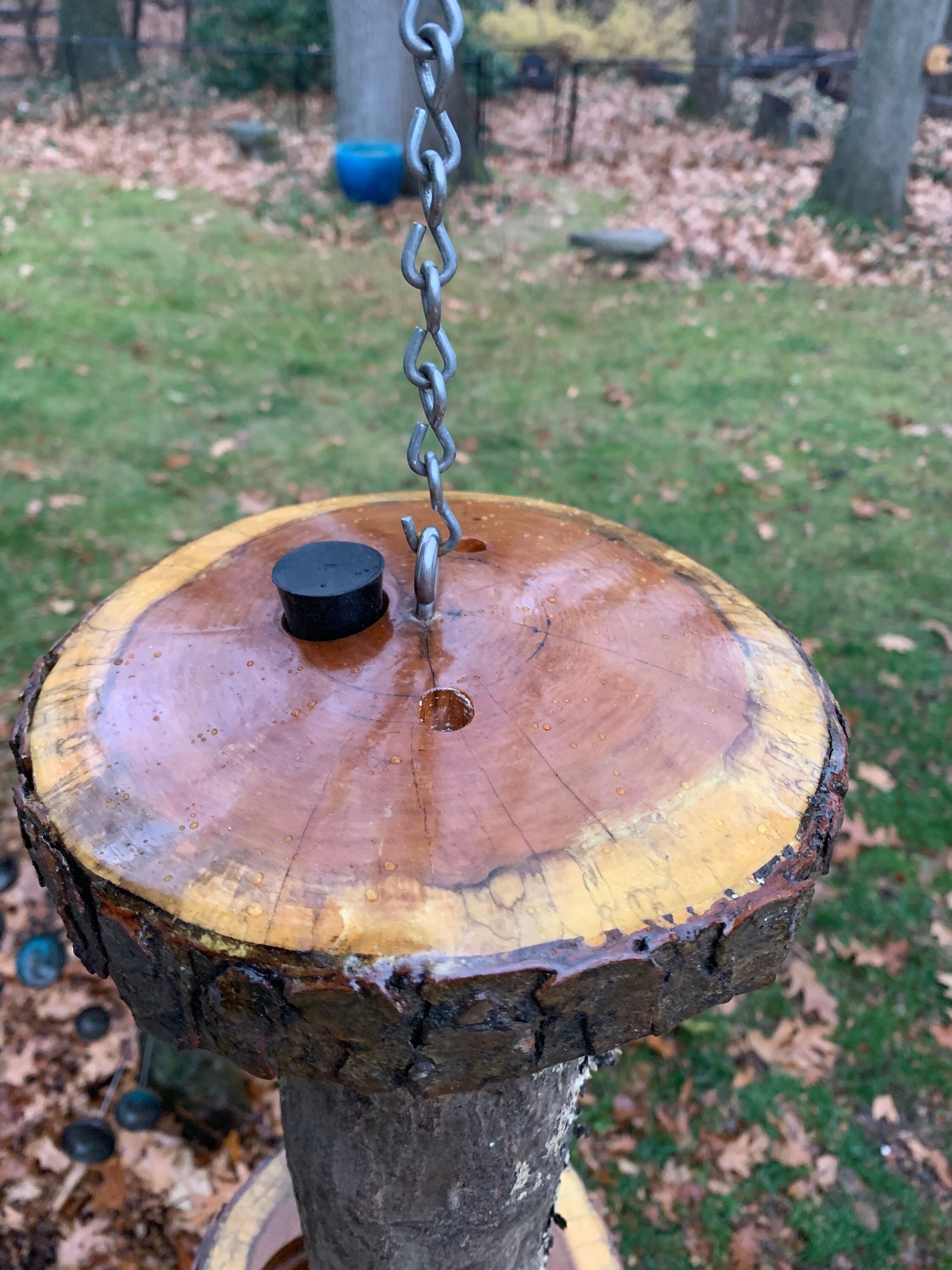 Varnished Log Bird Feeder: Natural Wood, Stainless Steel Hook - Etsy