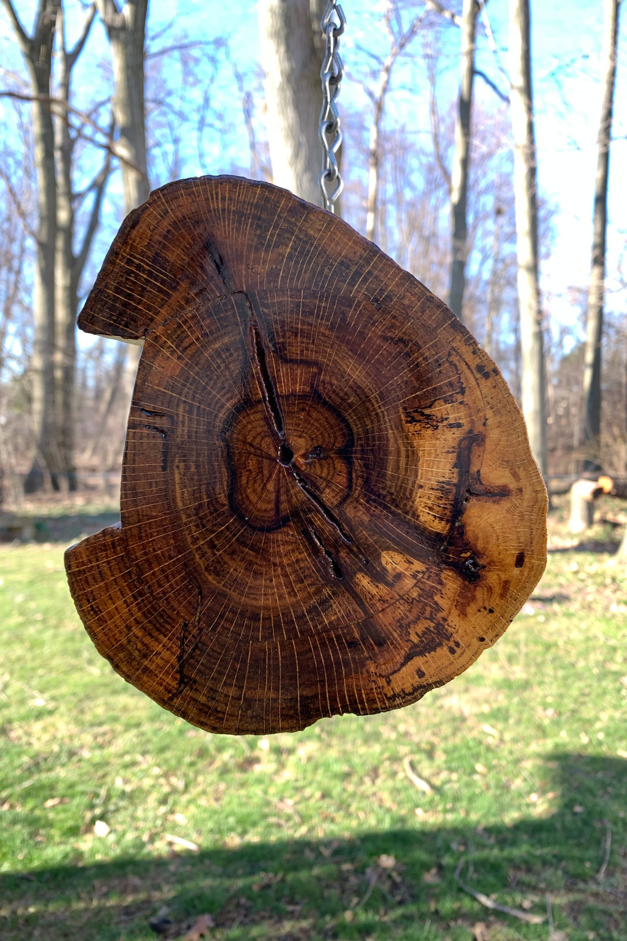 Log Squirrel Feeder, Bird Feeder, or Nesting Platform. Can Be Hung or ...