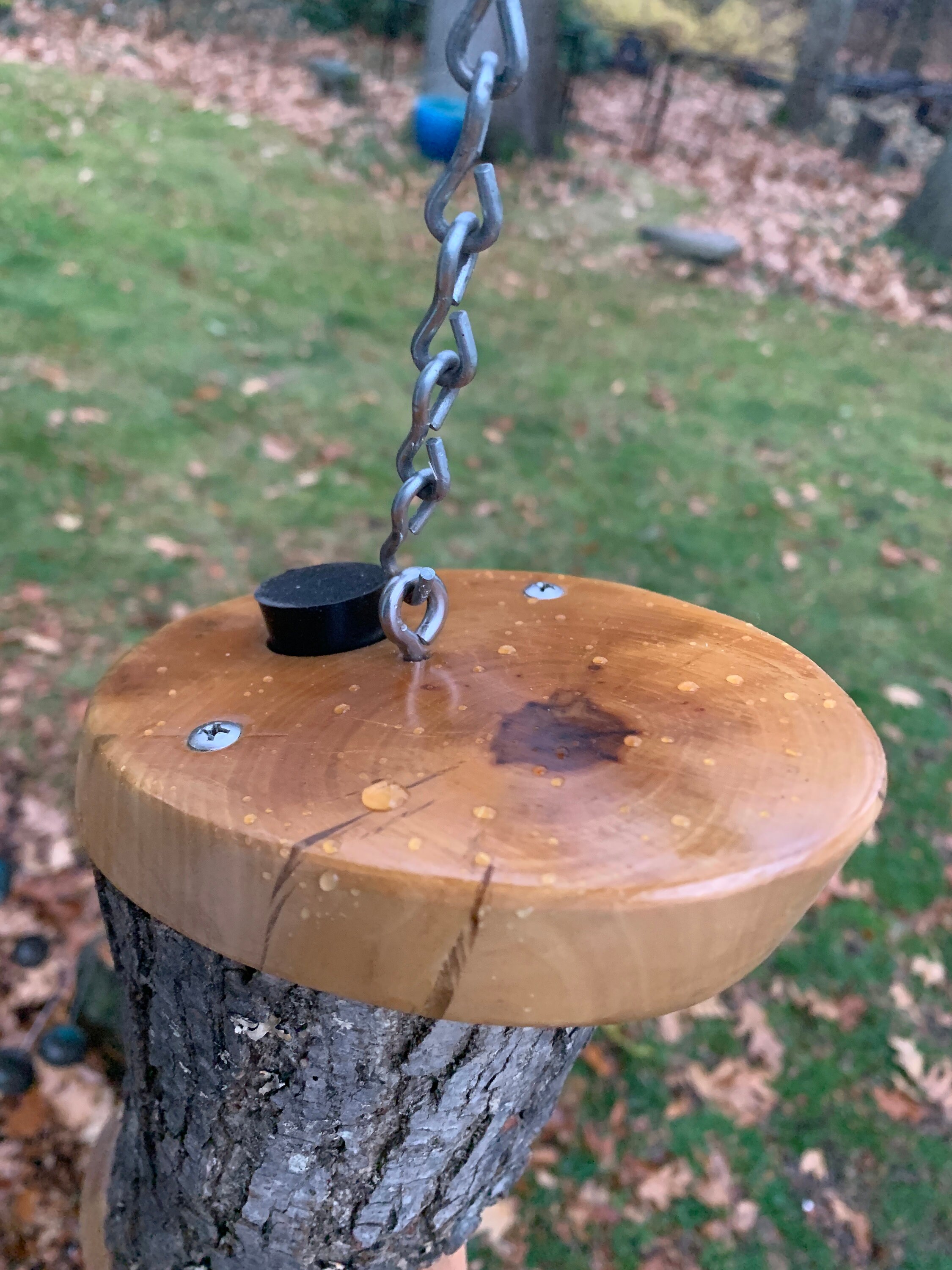 Varnished Log Bird Feeder: Natural Wood, Stainless Steel Hook - Etsy