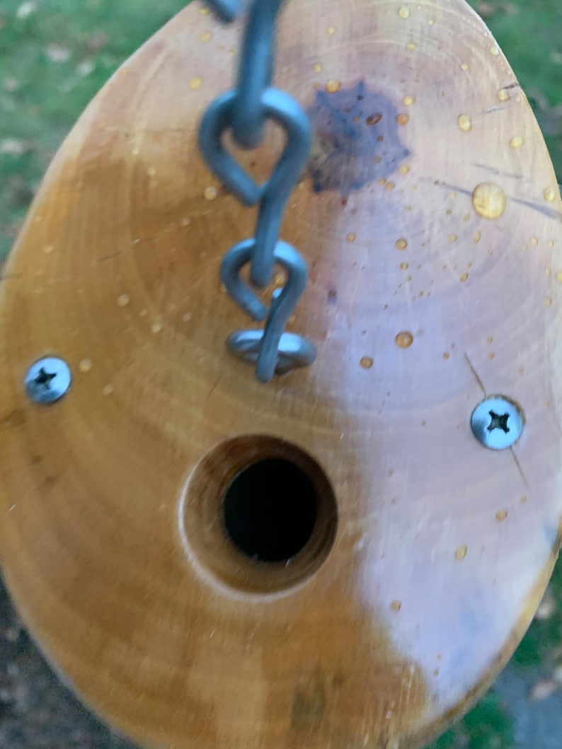Varnished Log Bird Feeder: Natural Wood, Stainless Steel Hook - Etsy