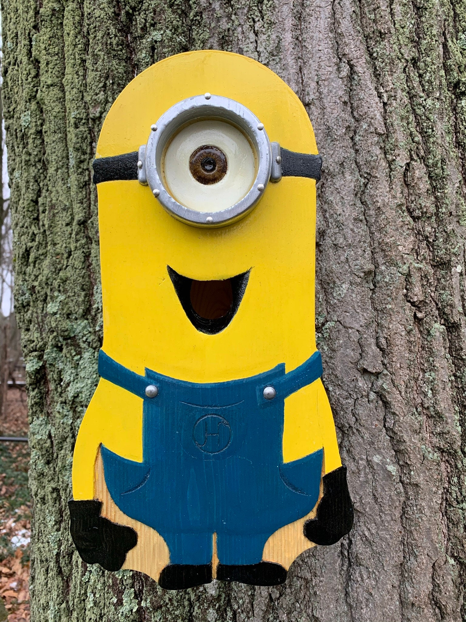 Minion Bird House With 3-dimensional Goggles, Eye and Hand Painted ...