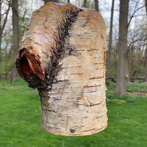 Black Walnut, Birch, Golden Elm, or Silver Poplar Log Birdhouses and ...
