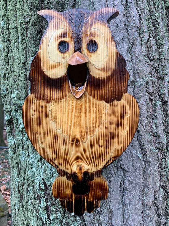 Owl Bird House With Hand Burned Details the Entrance Hole is Actually Through the Owl s Beak Etsy