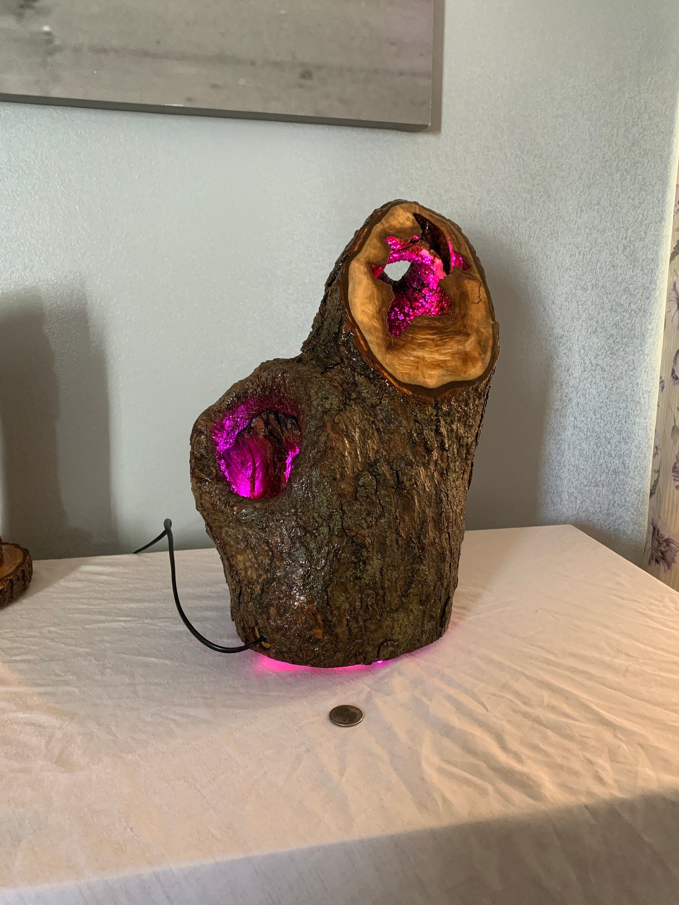 Decorative Hollow Log Light Sculpture With Programmable Bulb! Finished ...