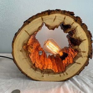 Decorative Hollow Log Edison Bulb Light Sculptures With Dimmer ...