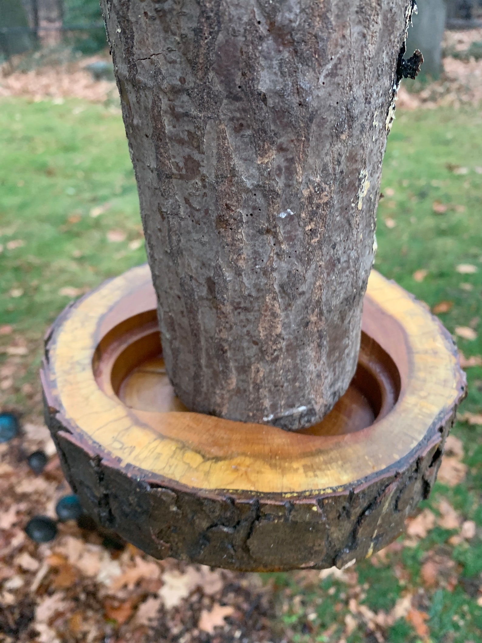 Varnished Log Bird Feeder: Natural Wood, Stainless Steel Hook - Etsy