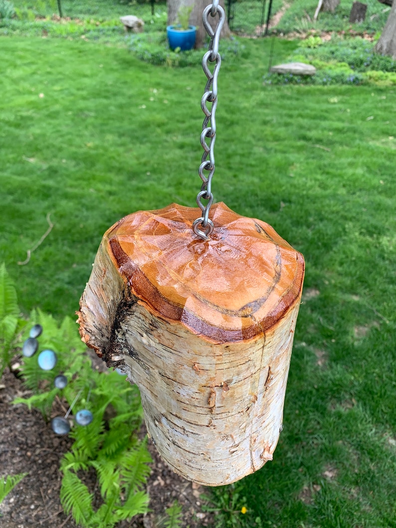 Black Walnut, Birch, Golden Elm, or Silver Poplar Log Birdhouses and ...