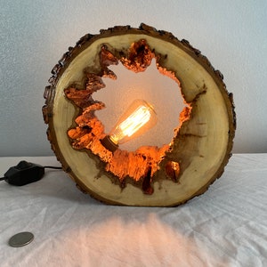 Decorative Hollow Log Edison Bulb Light Sculptures With Dimmer ...