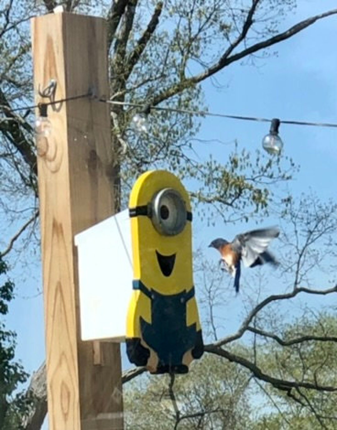 Minion Bird House With 3-D Goggles and Hand Painted Details the Bird's ...