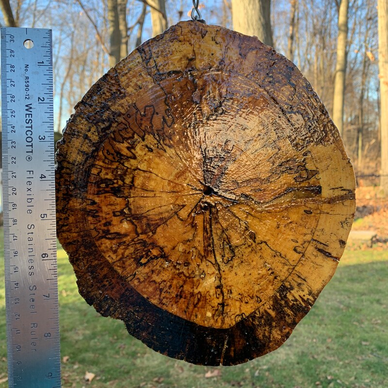 Spalted Oak - Etsy