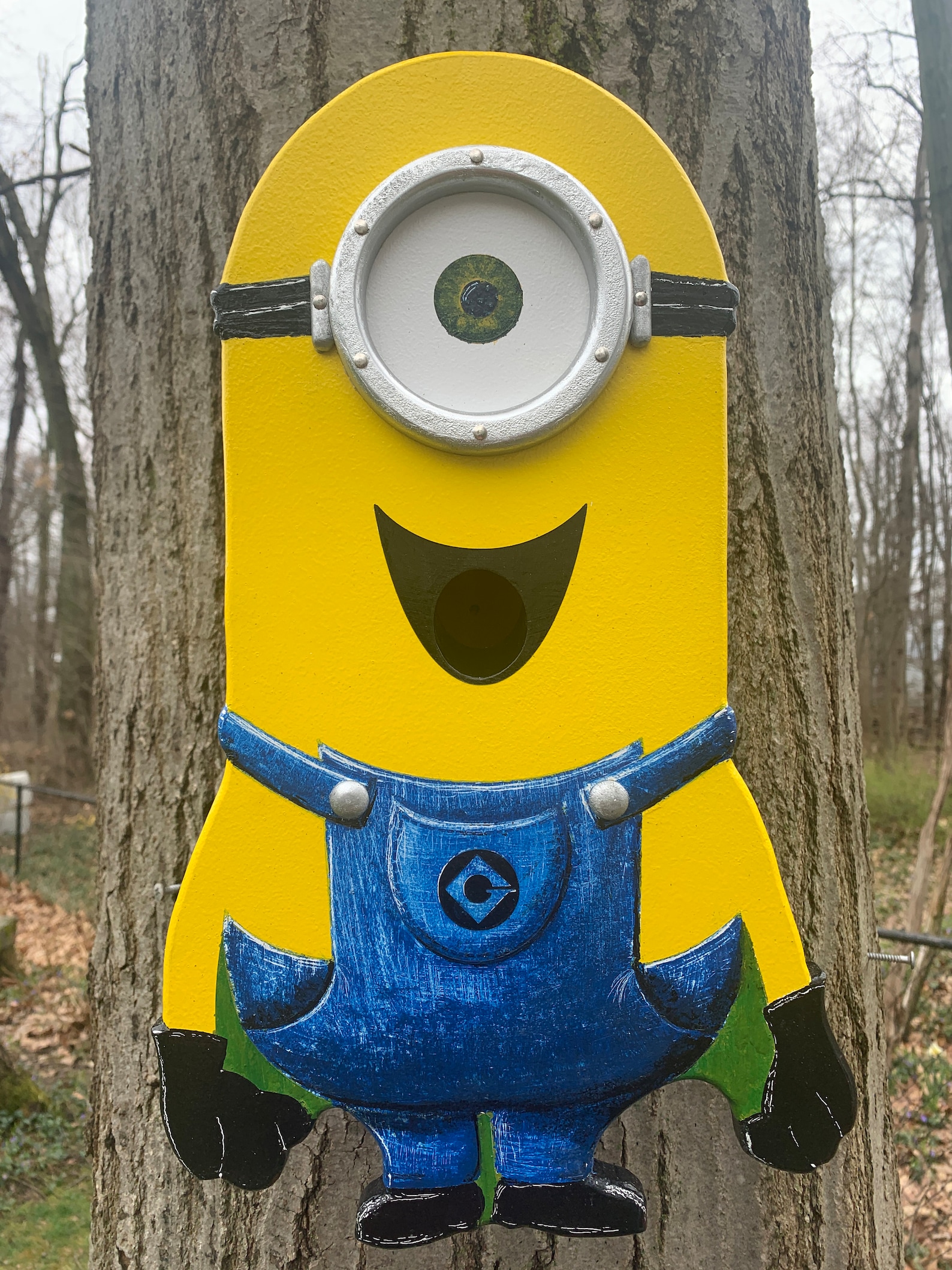 Minion Bird House With 3-D Goggles and Hand Painted Details! With ...