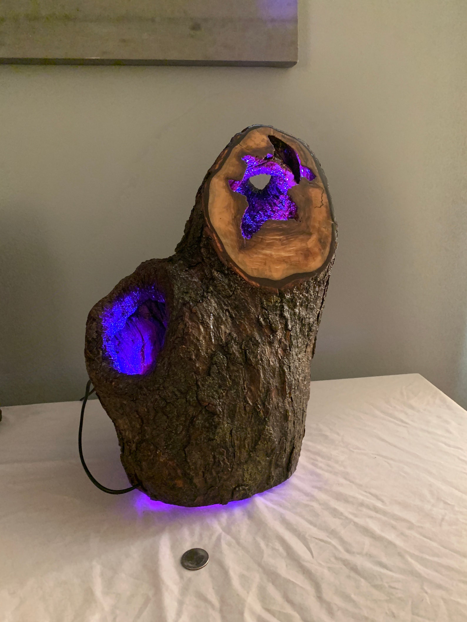 Decorative Hollow Log Light Sculpture With Programmable Bulb! Finished ...