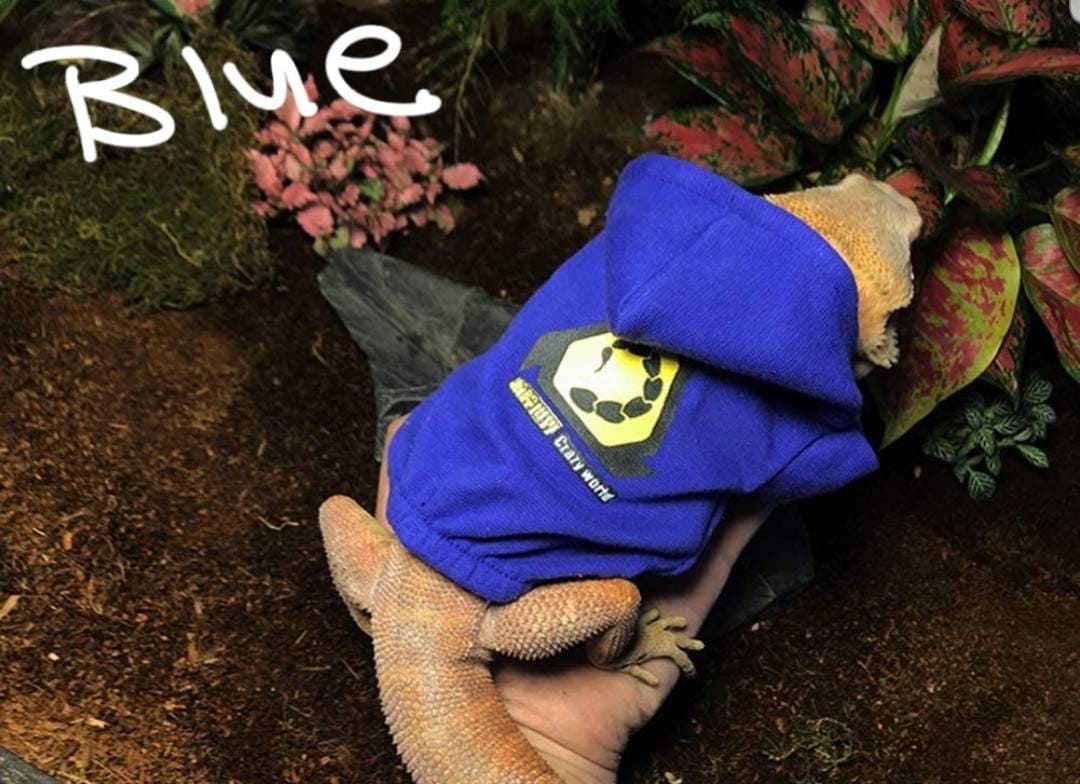 Lizard Clothes for Bearded Dragons Reptile Apparel Handmade | Etsy