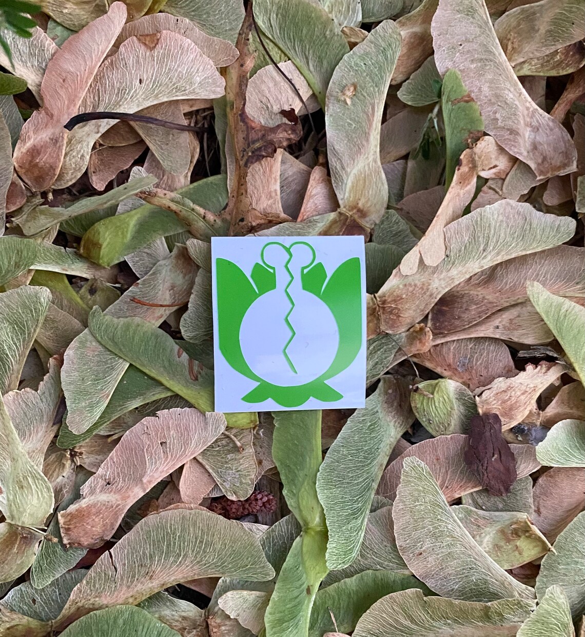 Owl House Plant Coven Sigil Decal - Etsy