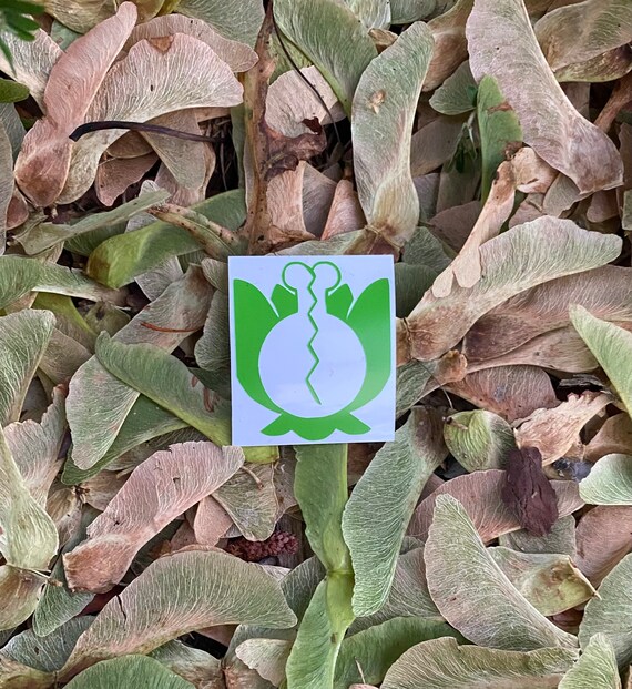 Owl House Plant Coven Sigil Decal - Etsy