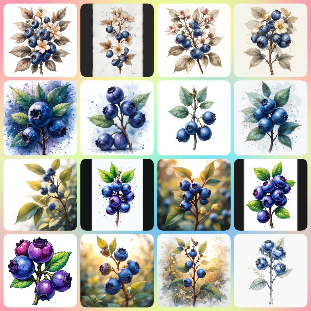 40 Blueberry Clipart, Blueberry Stem Print, Printable Watercolor ...